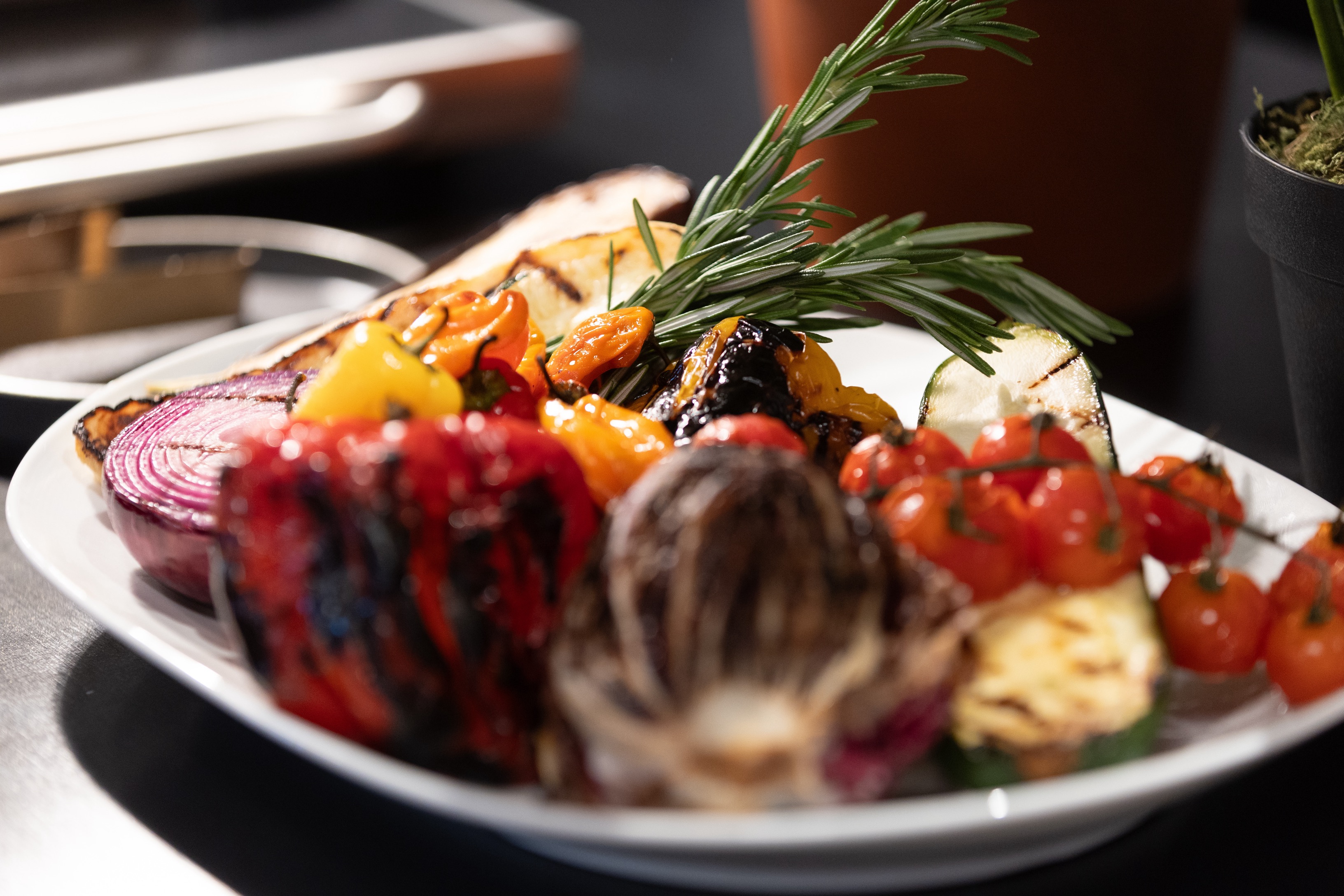 Members Lounges - Dolphins Home | Miami Dolphins